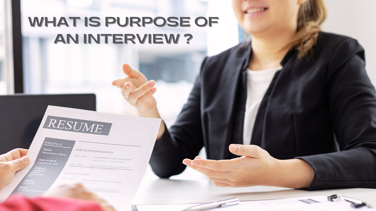 What is purpose of an Interview? – LIFE WITH SATYA